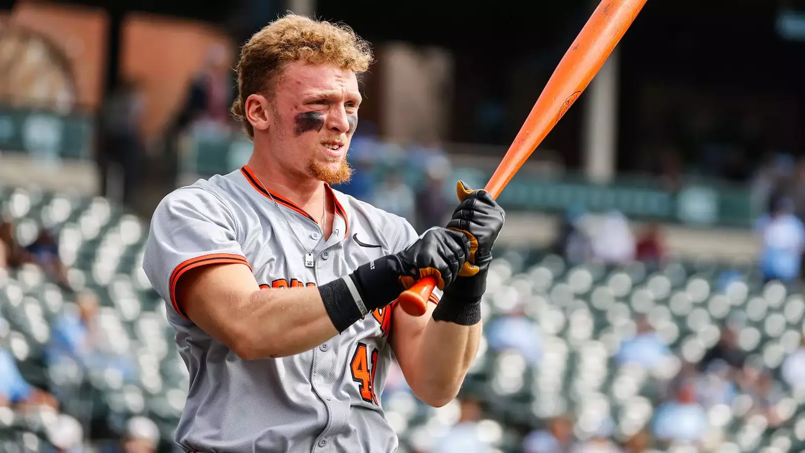 Princeton University