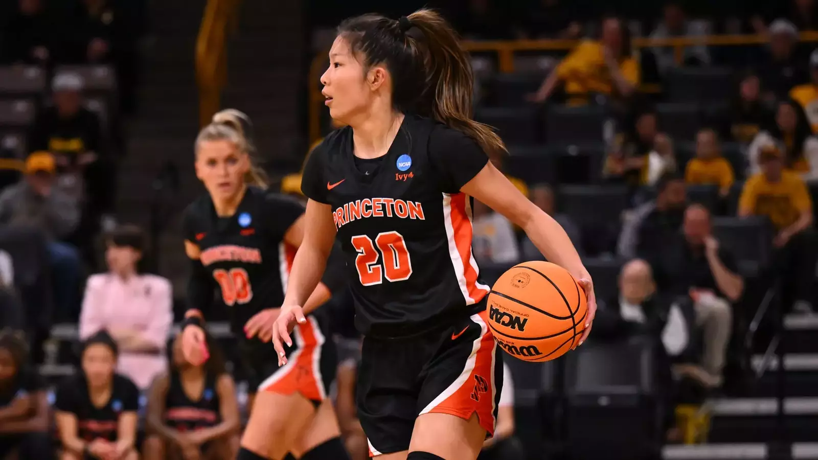 Princeton University