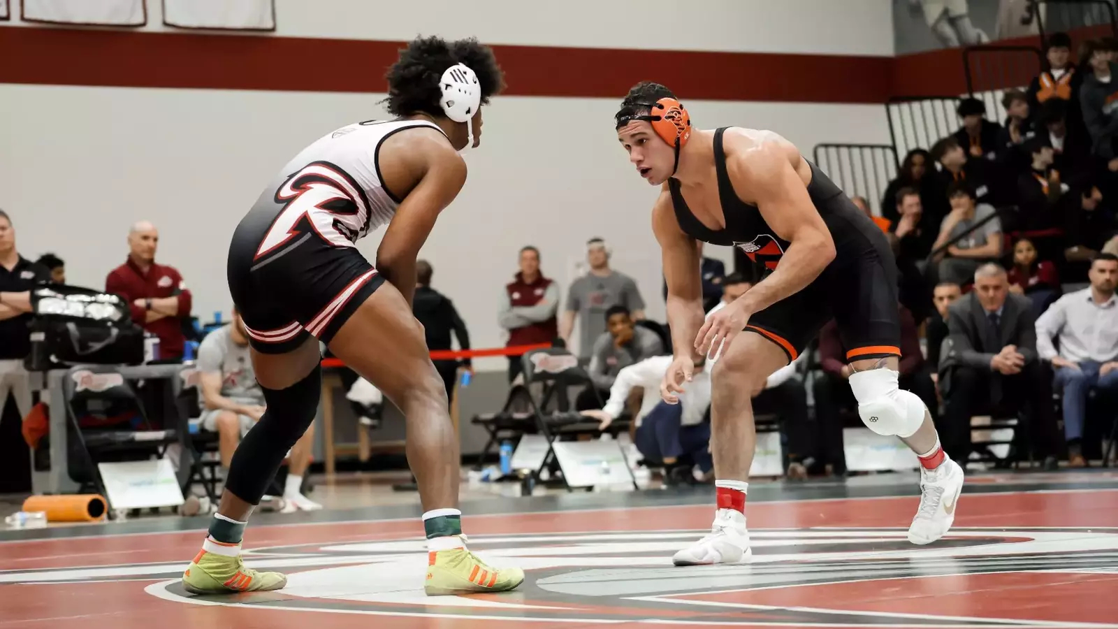 Princeton University