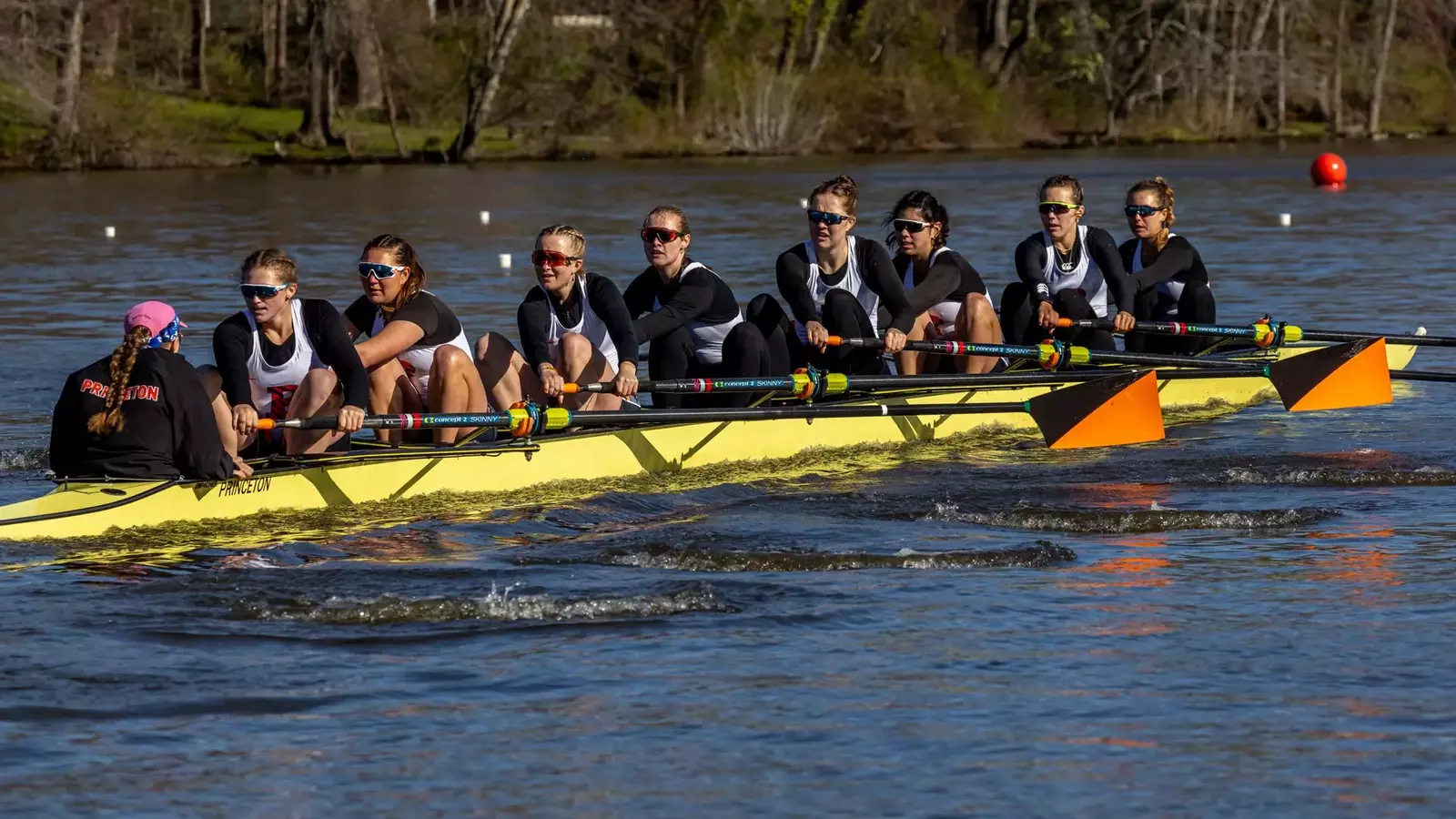 Princeton University