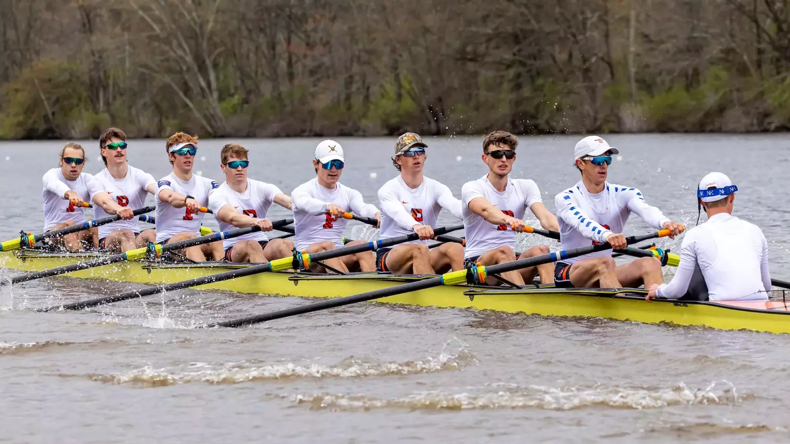 Princeton University