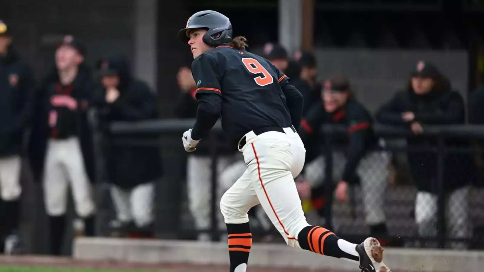 Princeton University