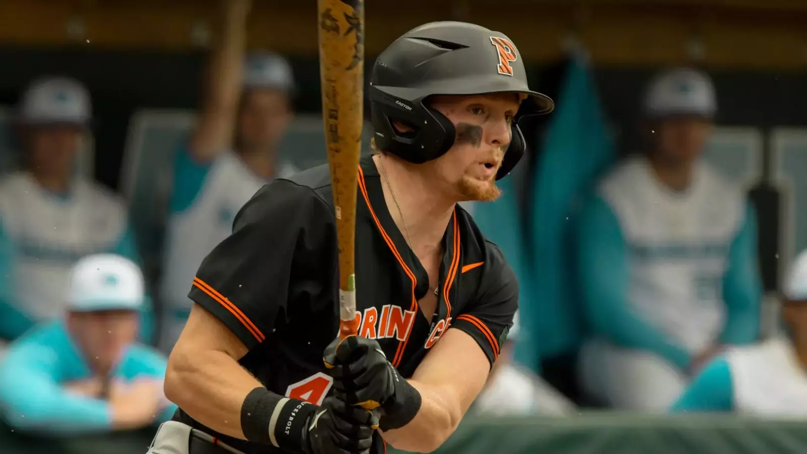 Princeton University