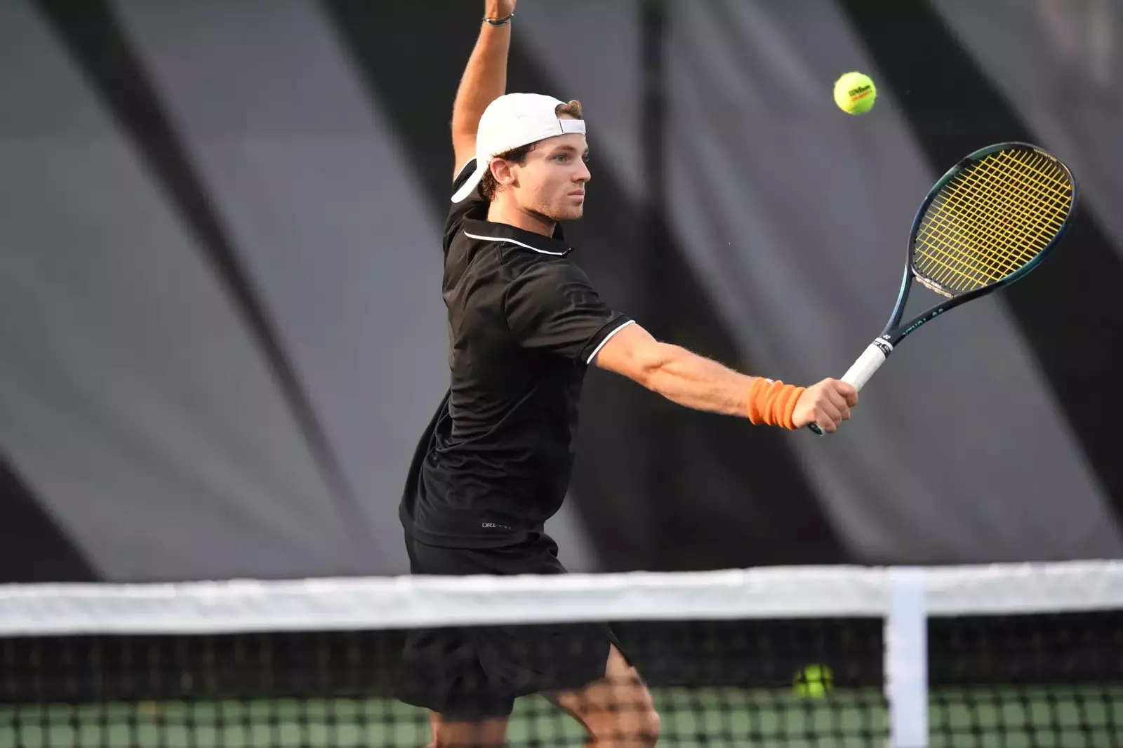 Princeton University