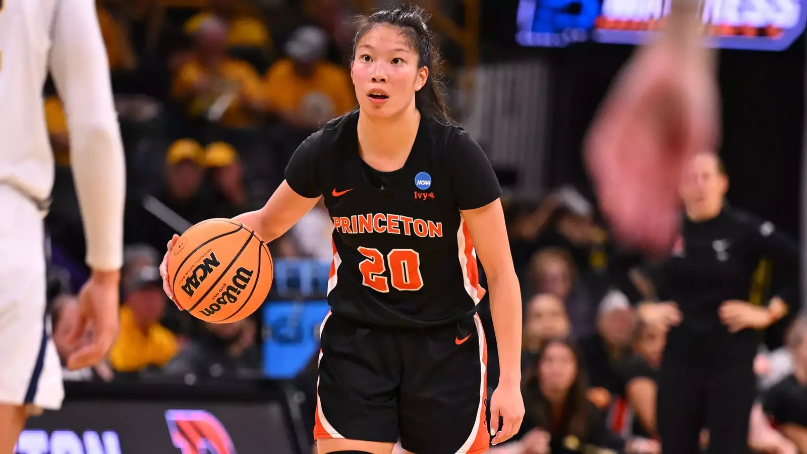 Princeton University