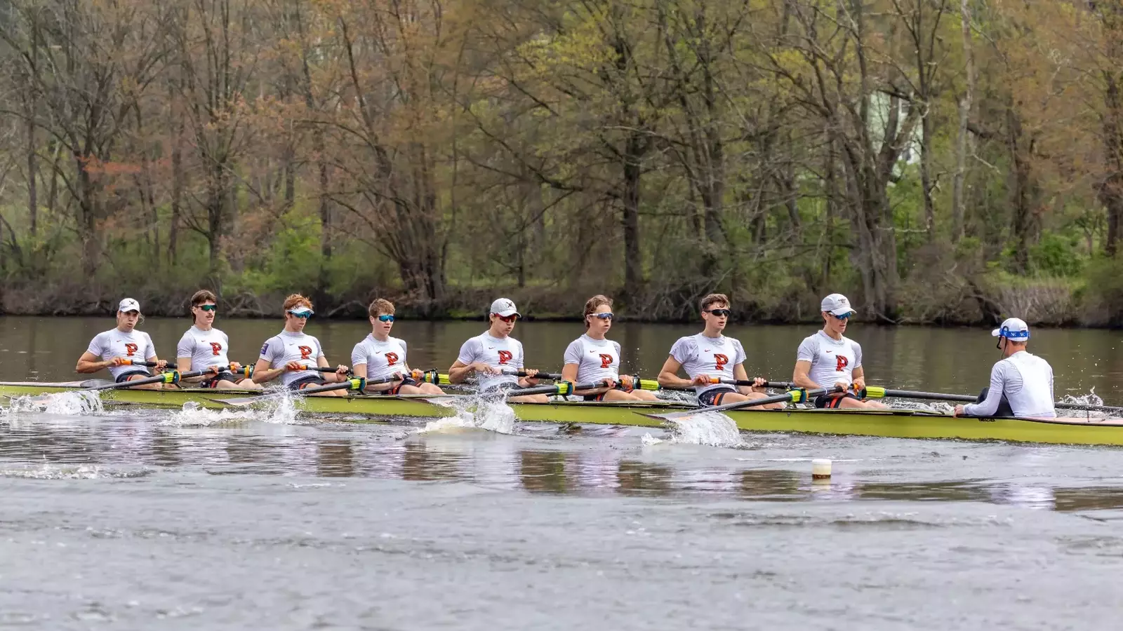 Princeton University