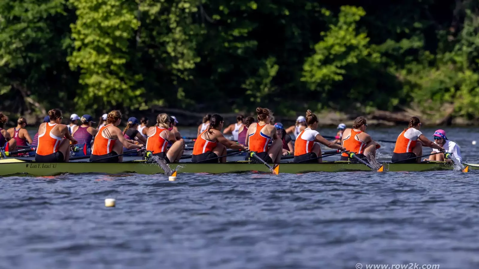 Princeton University