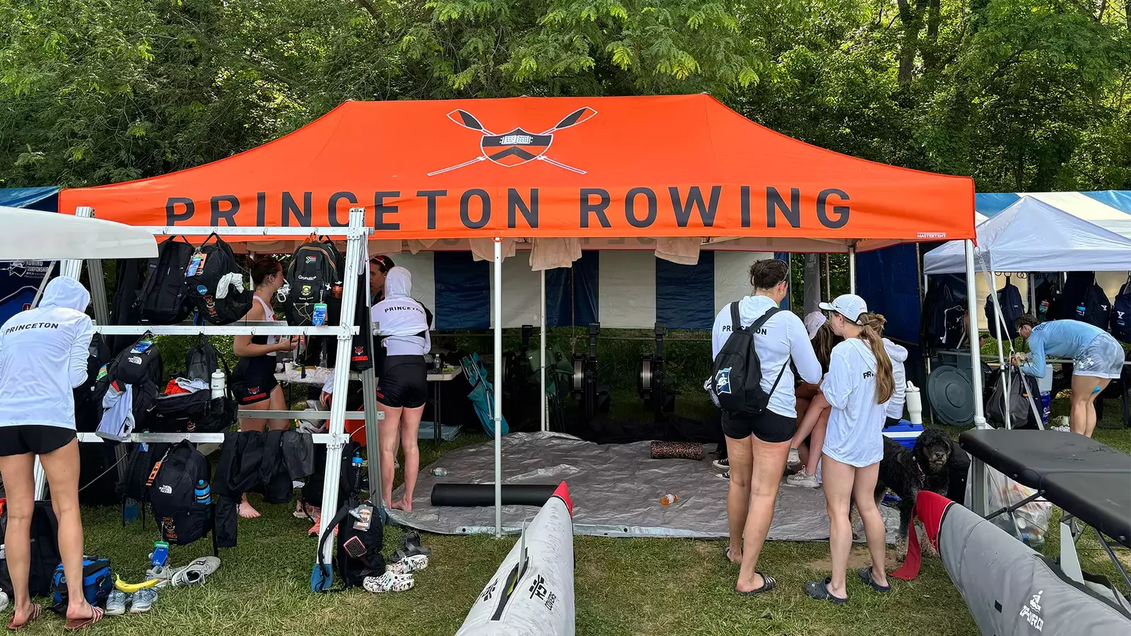 Princeton University