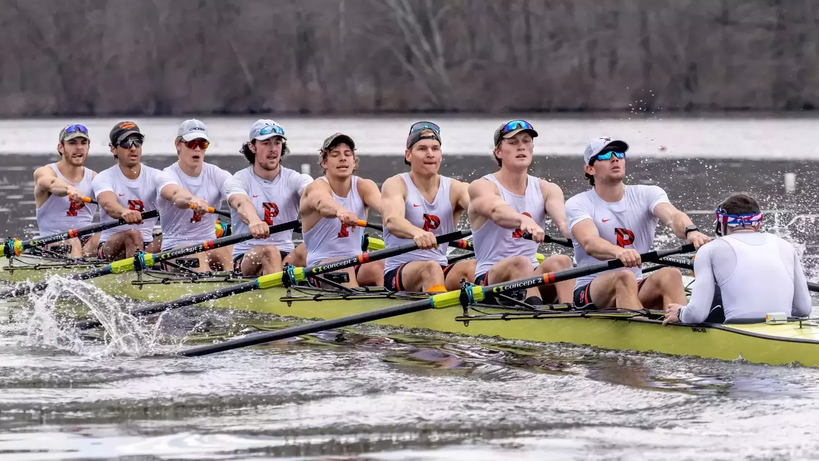 Princeton University