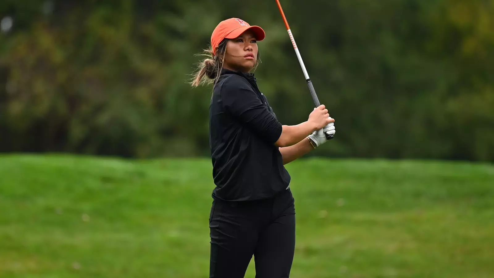 Princeton University