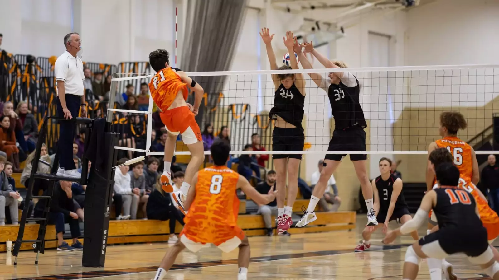 Princeton University