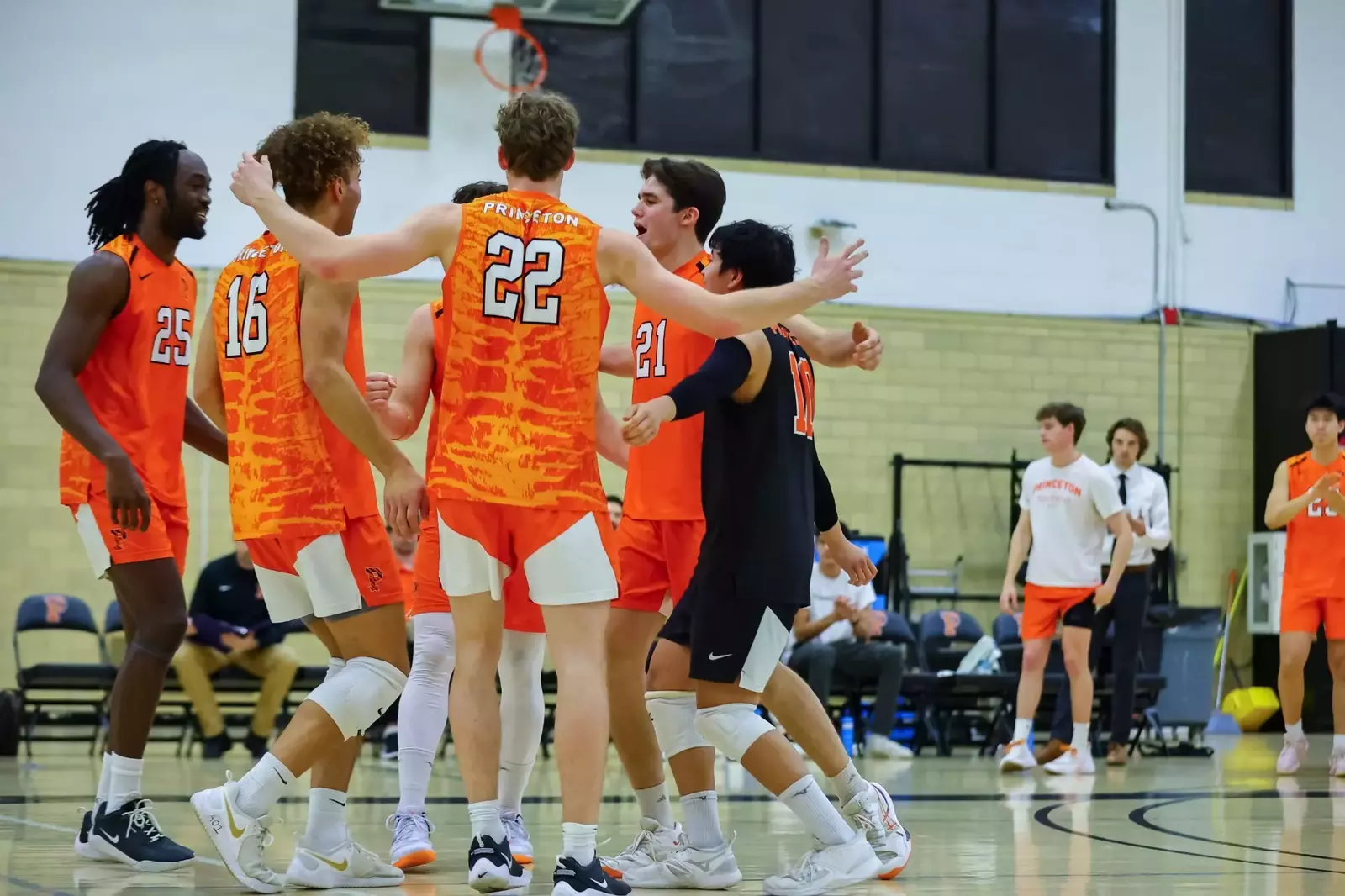 Princeton University
