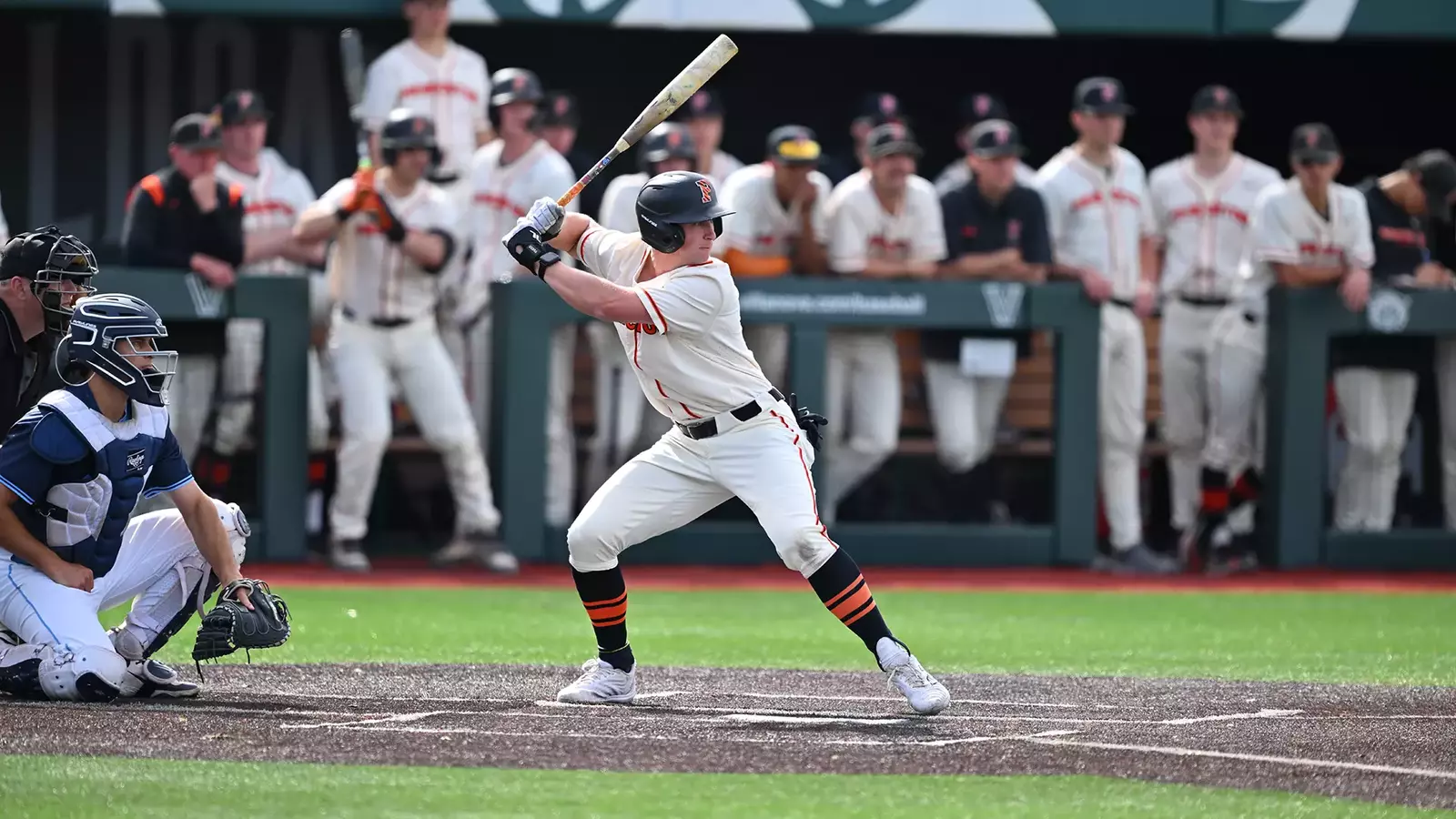 Princeton University