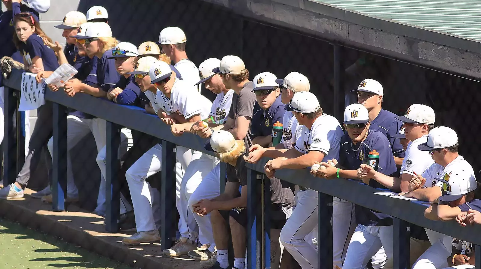 Baseball Announces Fall Schedule - Murray State University Athletics