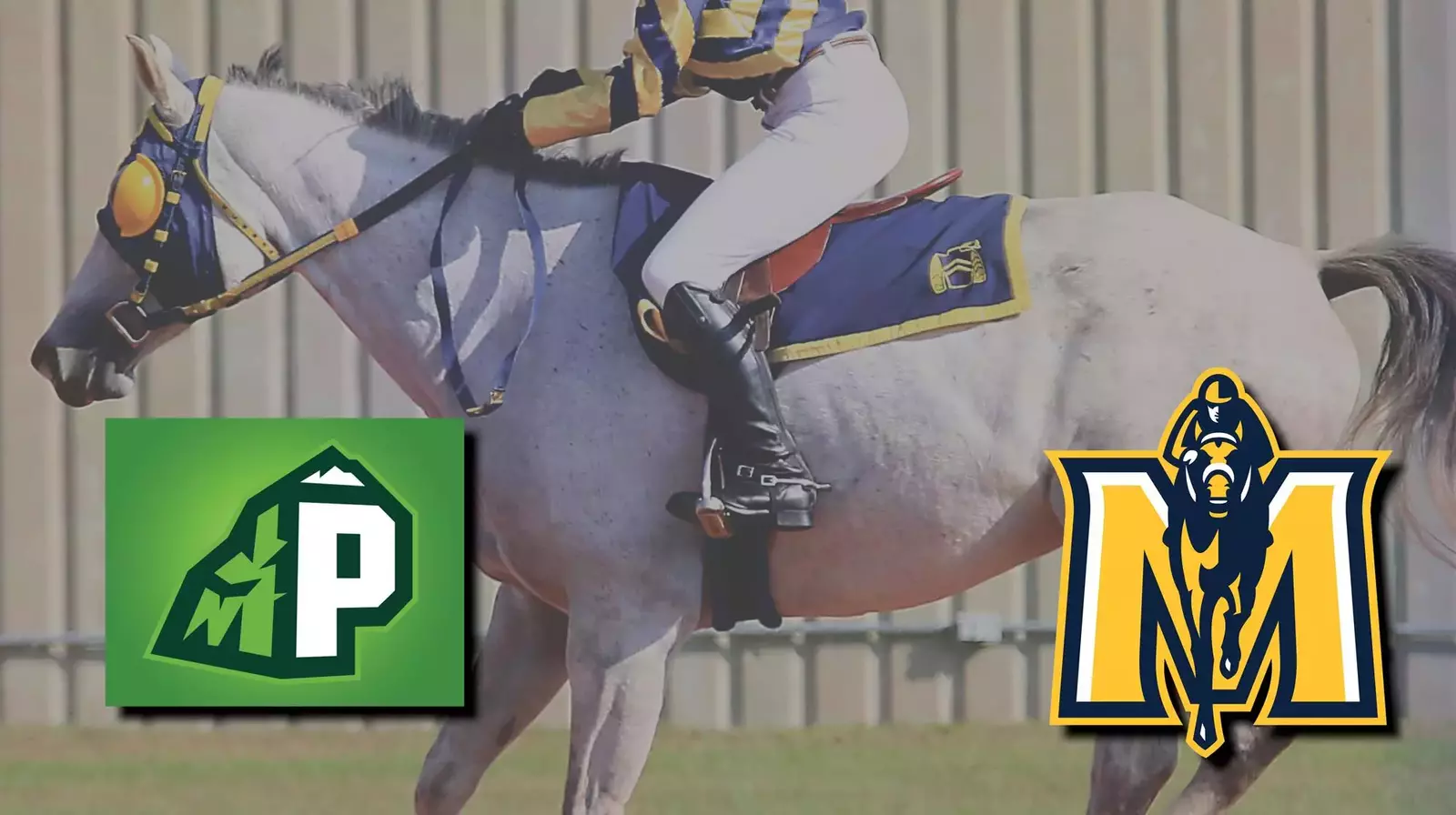 Murray State Athletics Announces Partnership With PEAK Sports ...