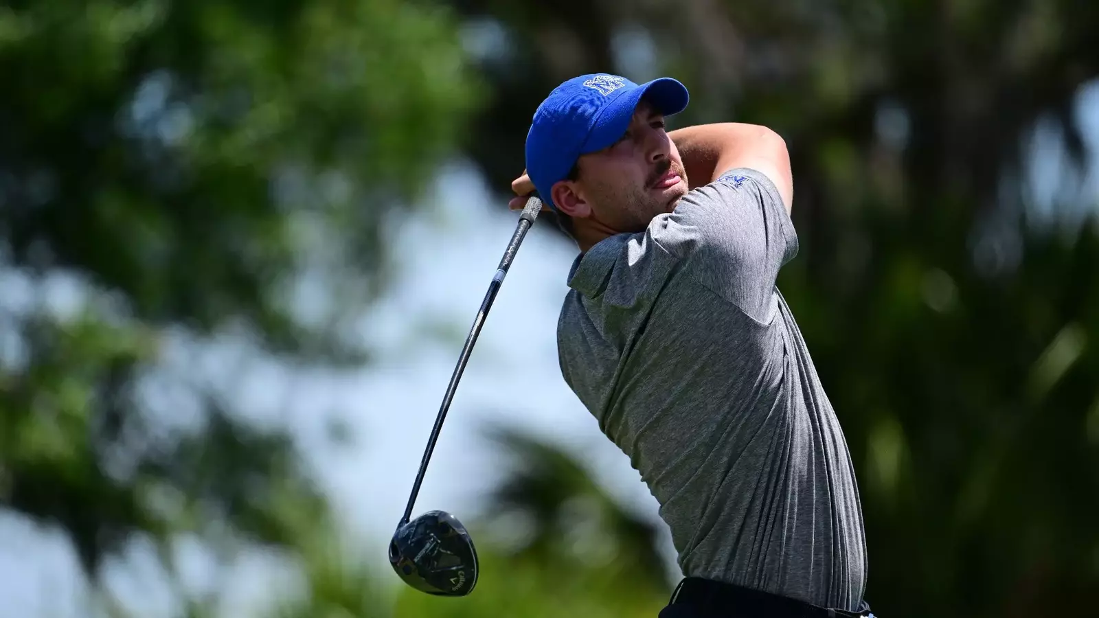 University of Memphis