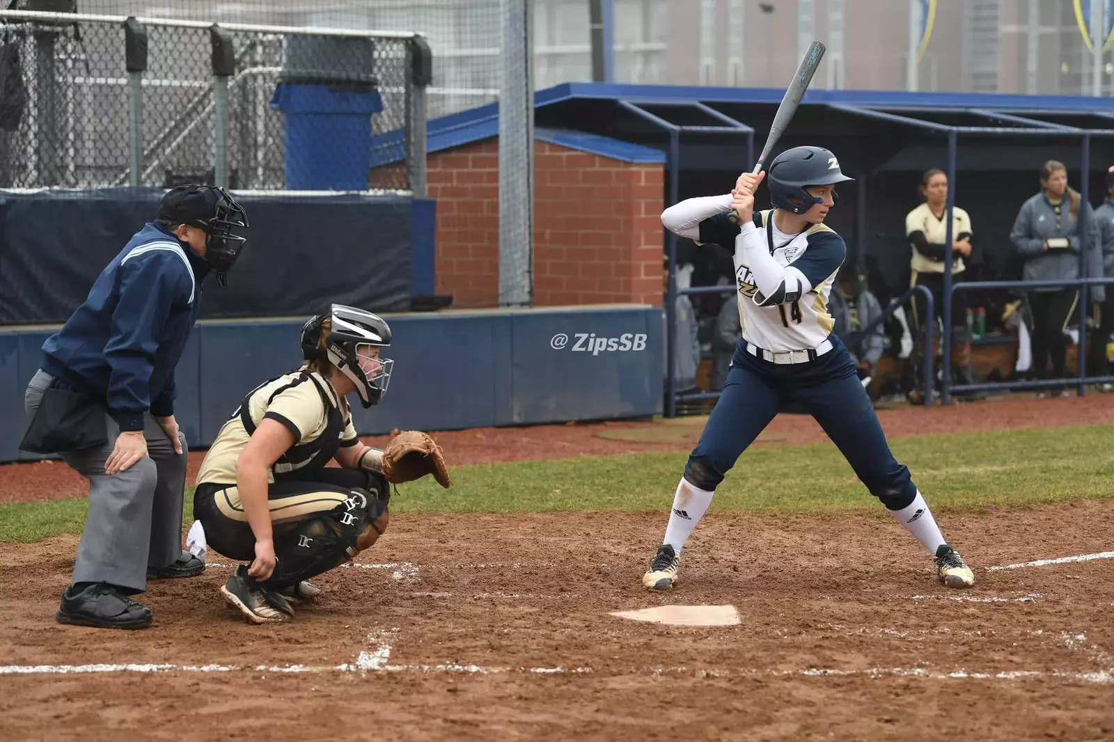 University of Akron Athletics