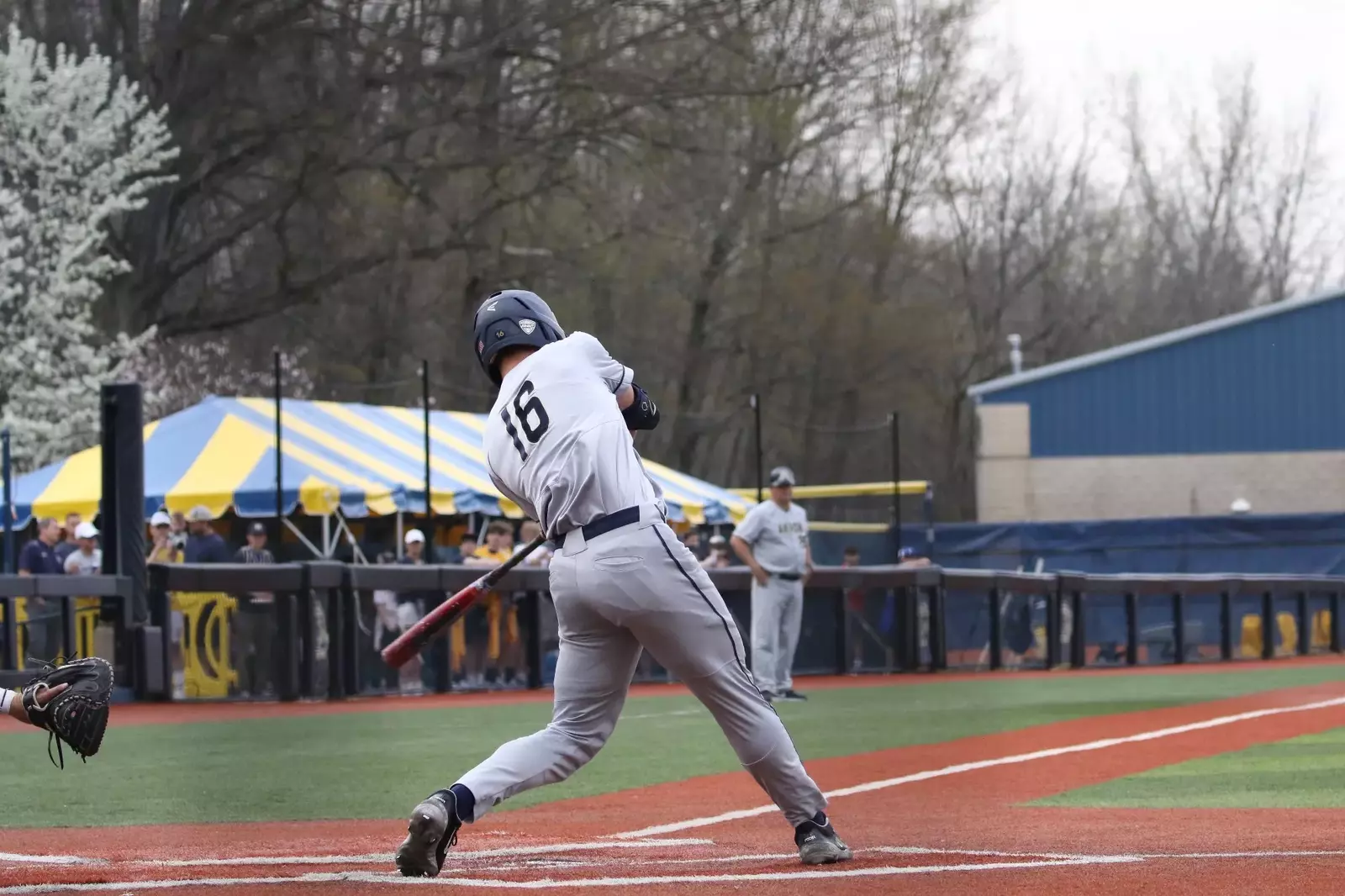 University of Akron Athletics