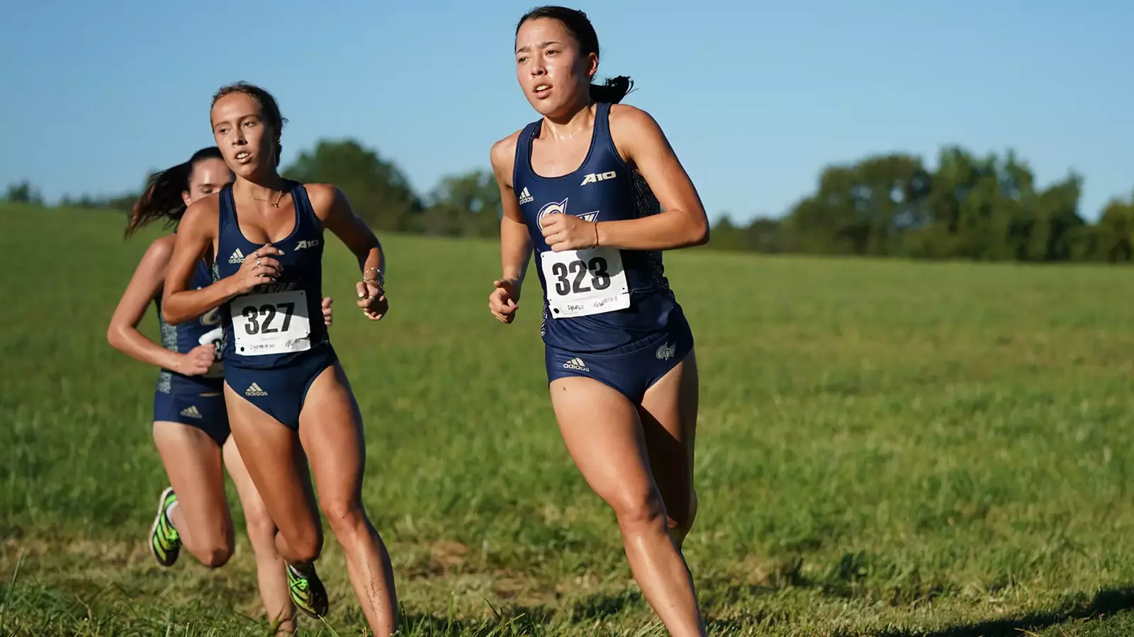 George Washington University