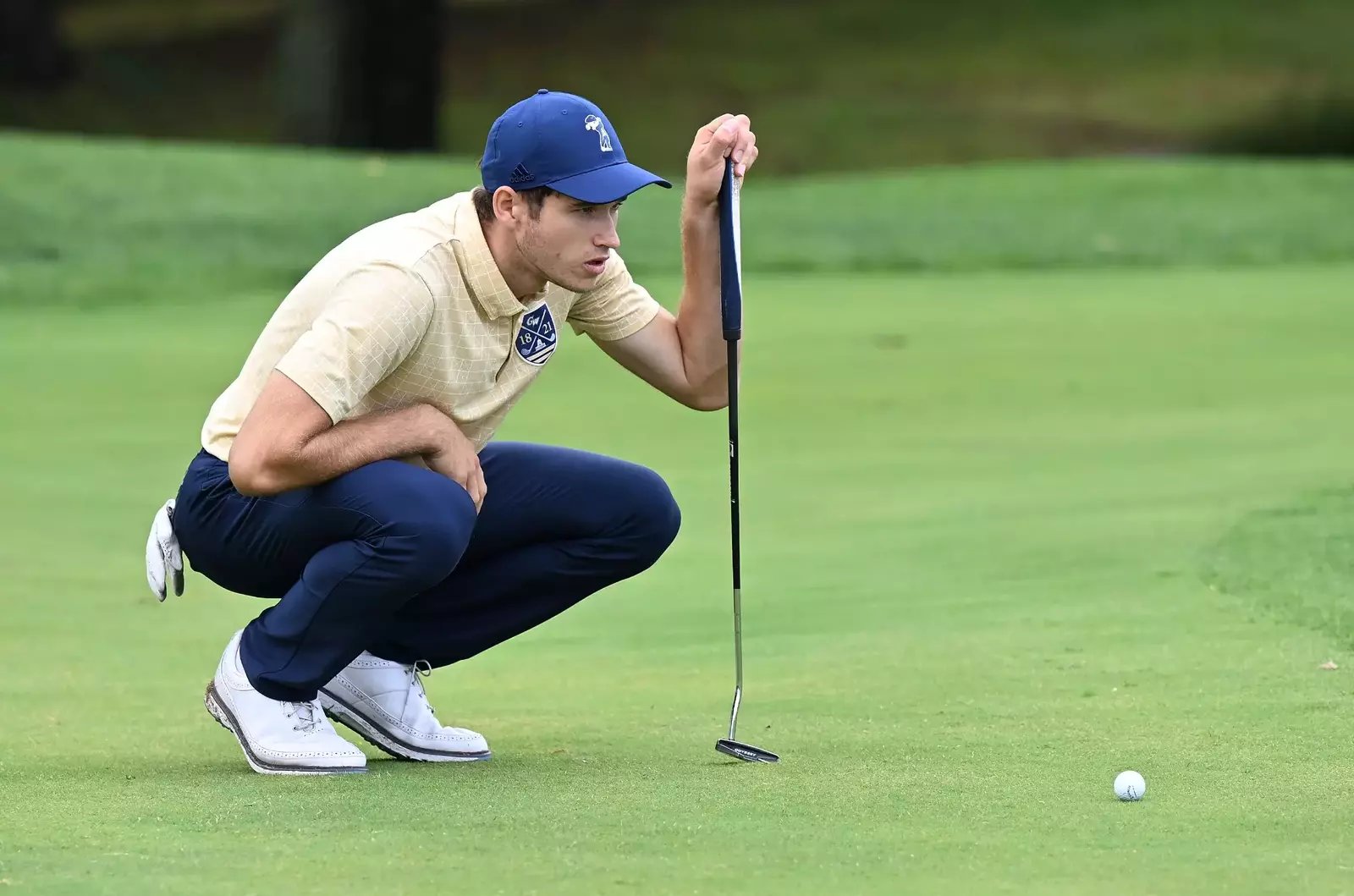 George Washington University