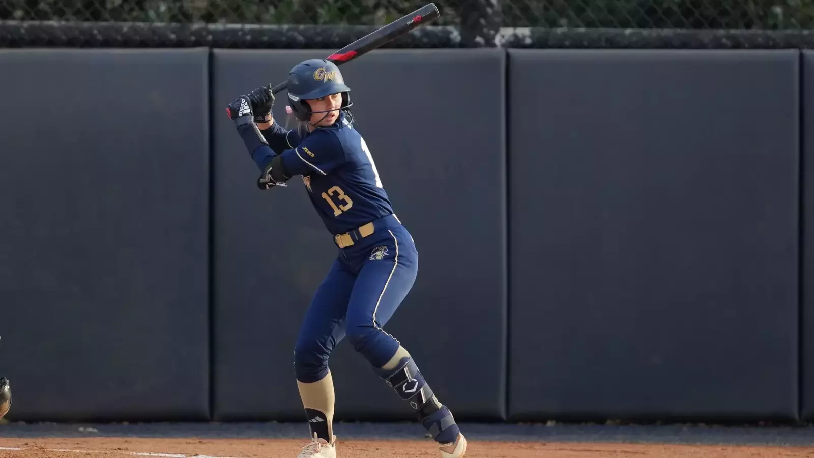 George Washington University