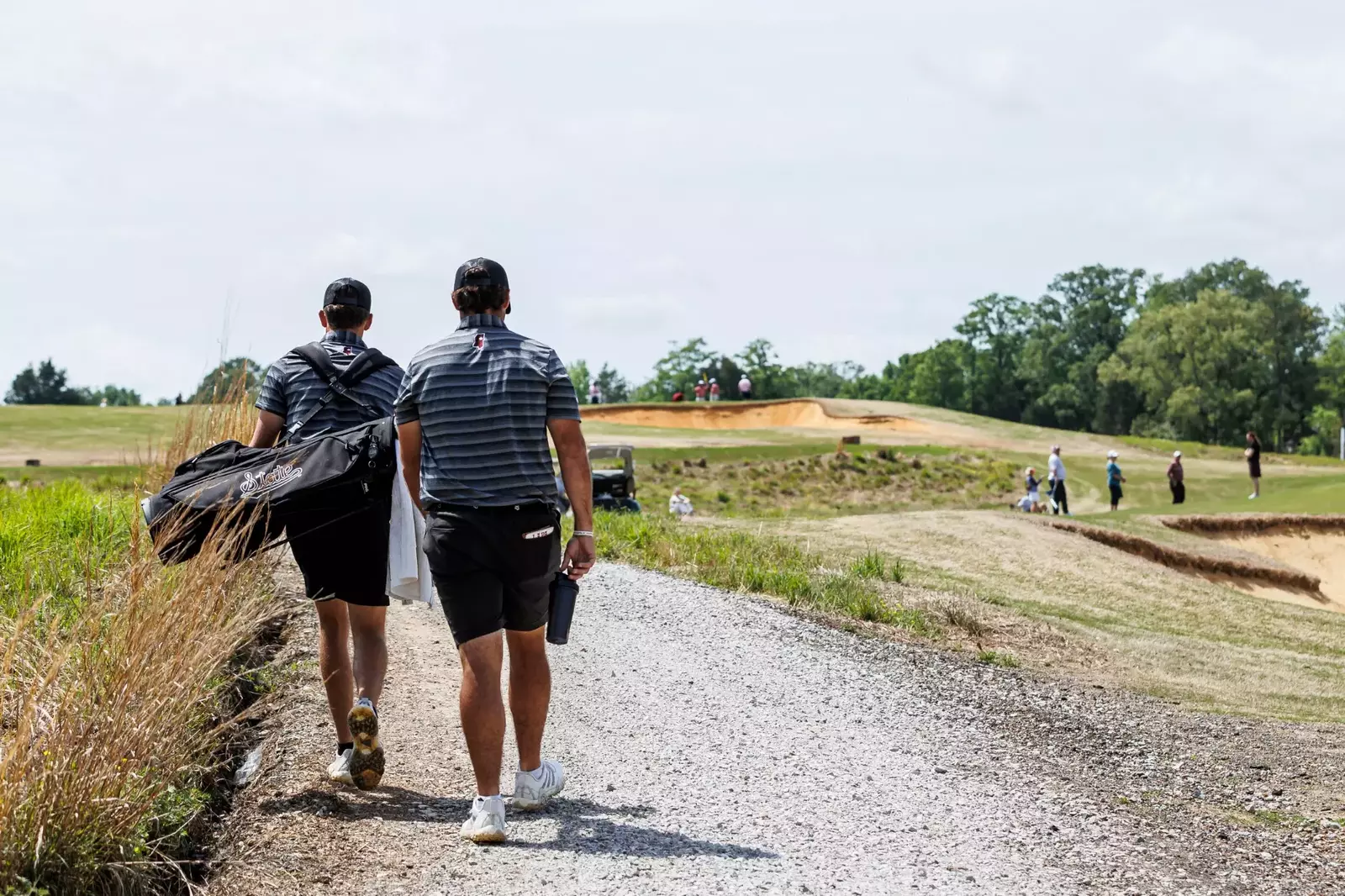 Mississippi State - Official Athletics Website