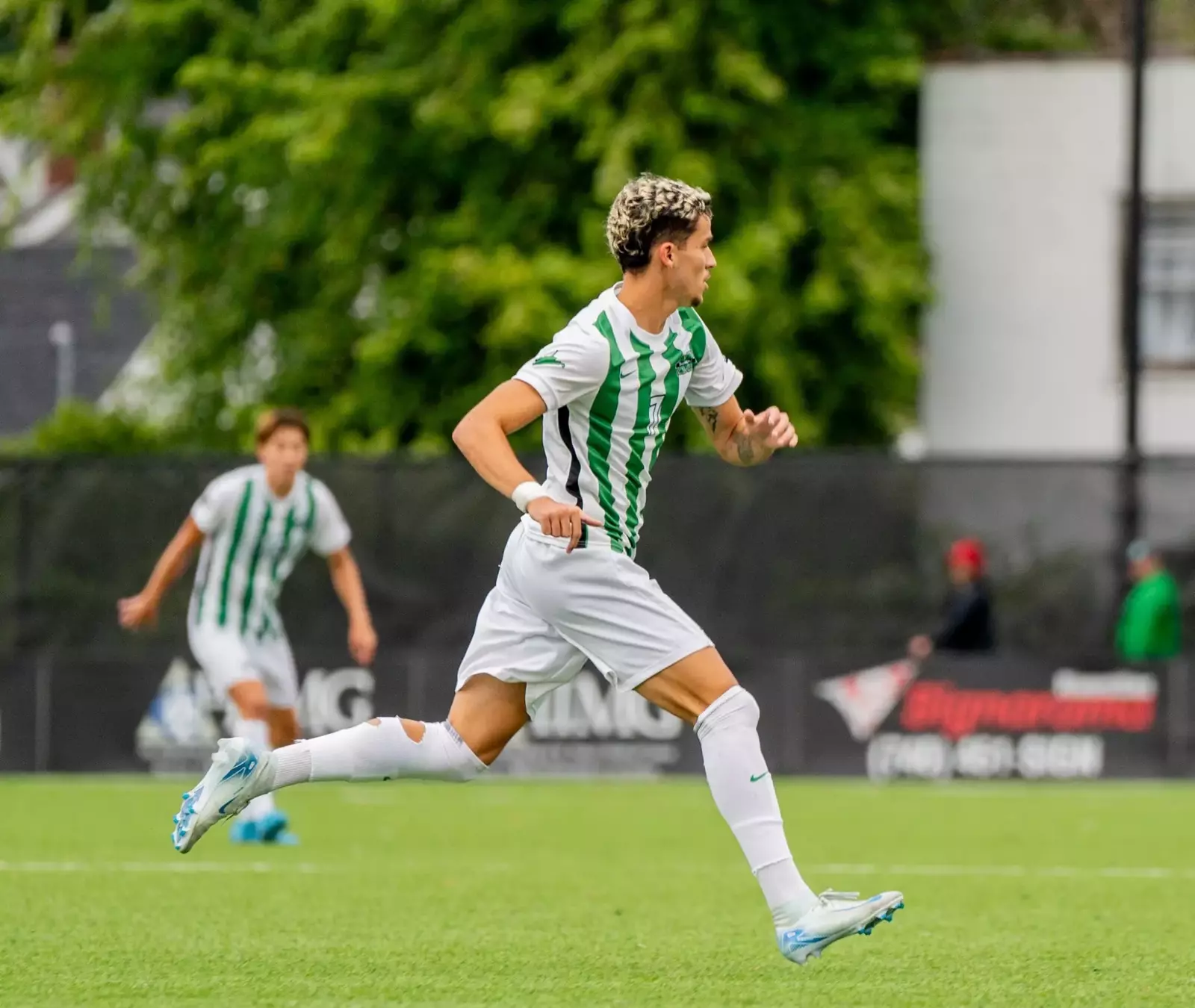 Marshall University: A Beacon of Higher Education - Georgia Express