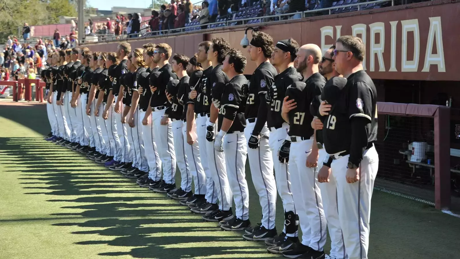 James Madison University - Official Athletics Site