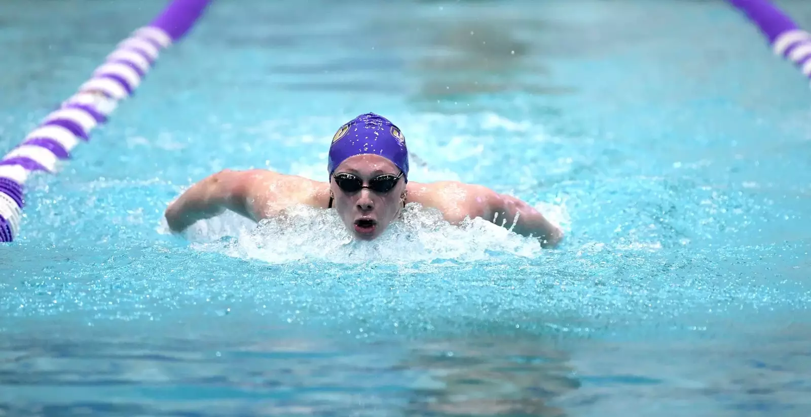 James Madison University - Official Athletics Site