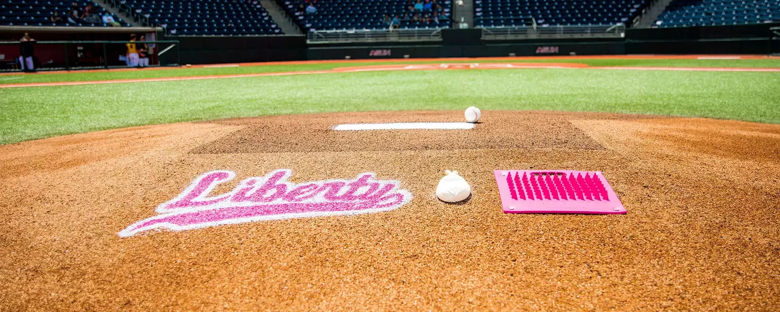 Liberty University Flames