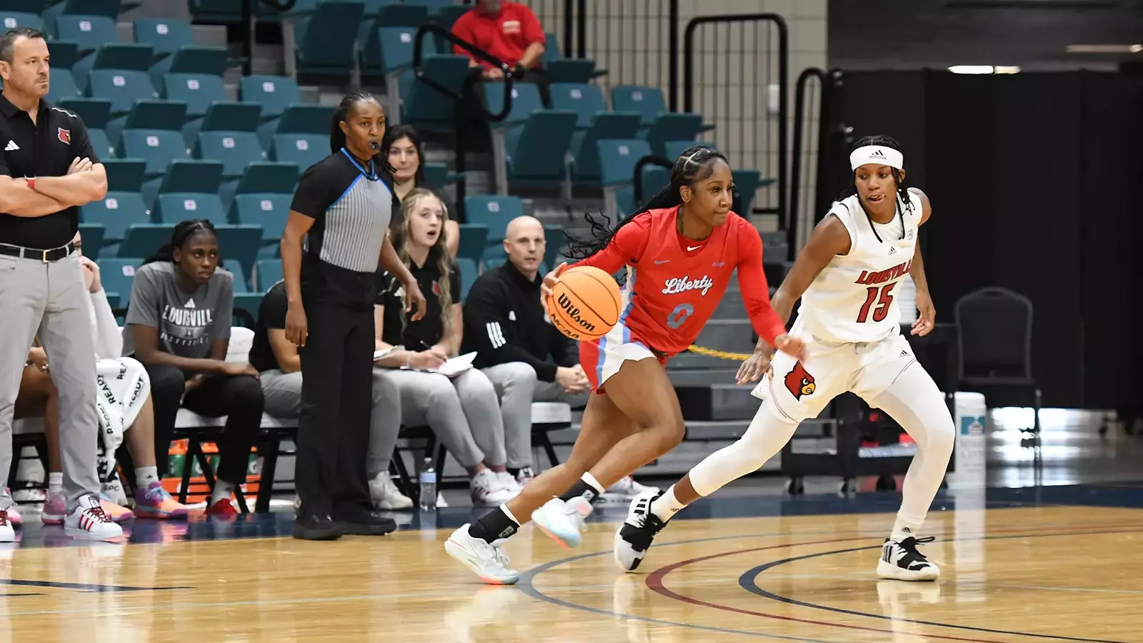 Liberty University Flames