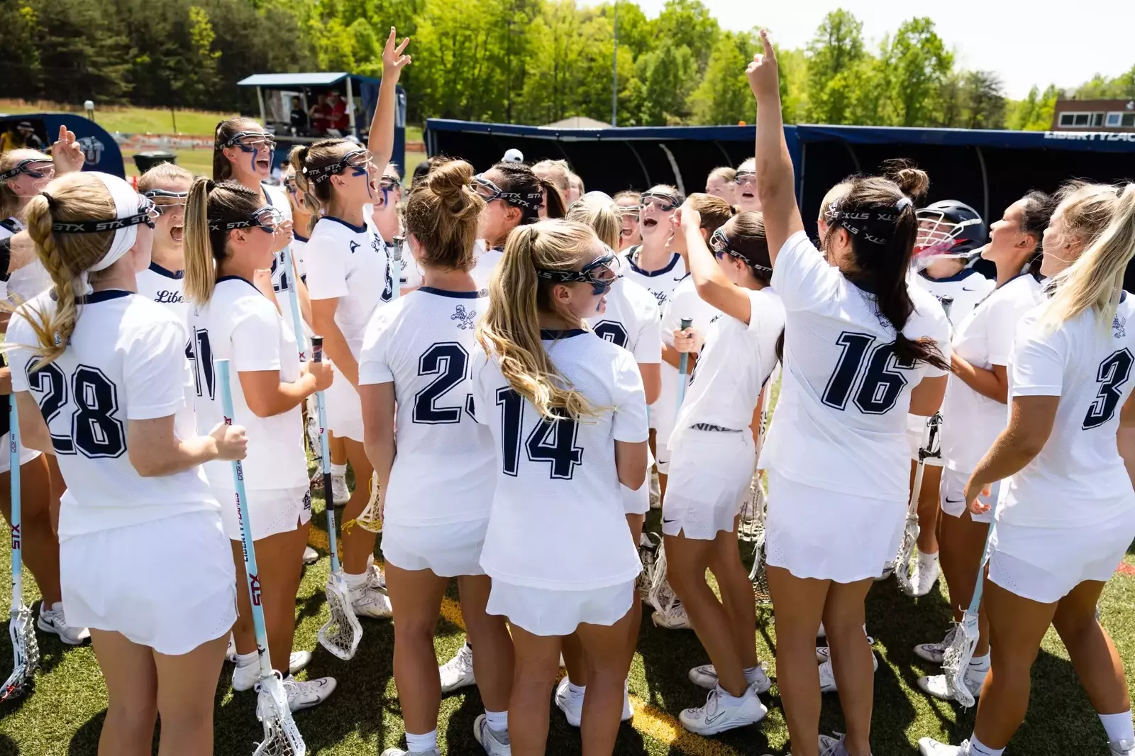 Liberty University Flames