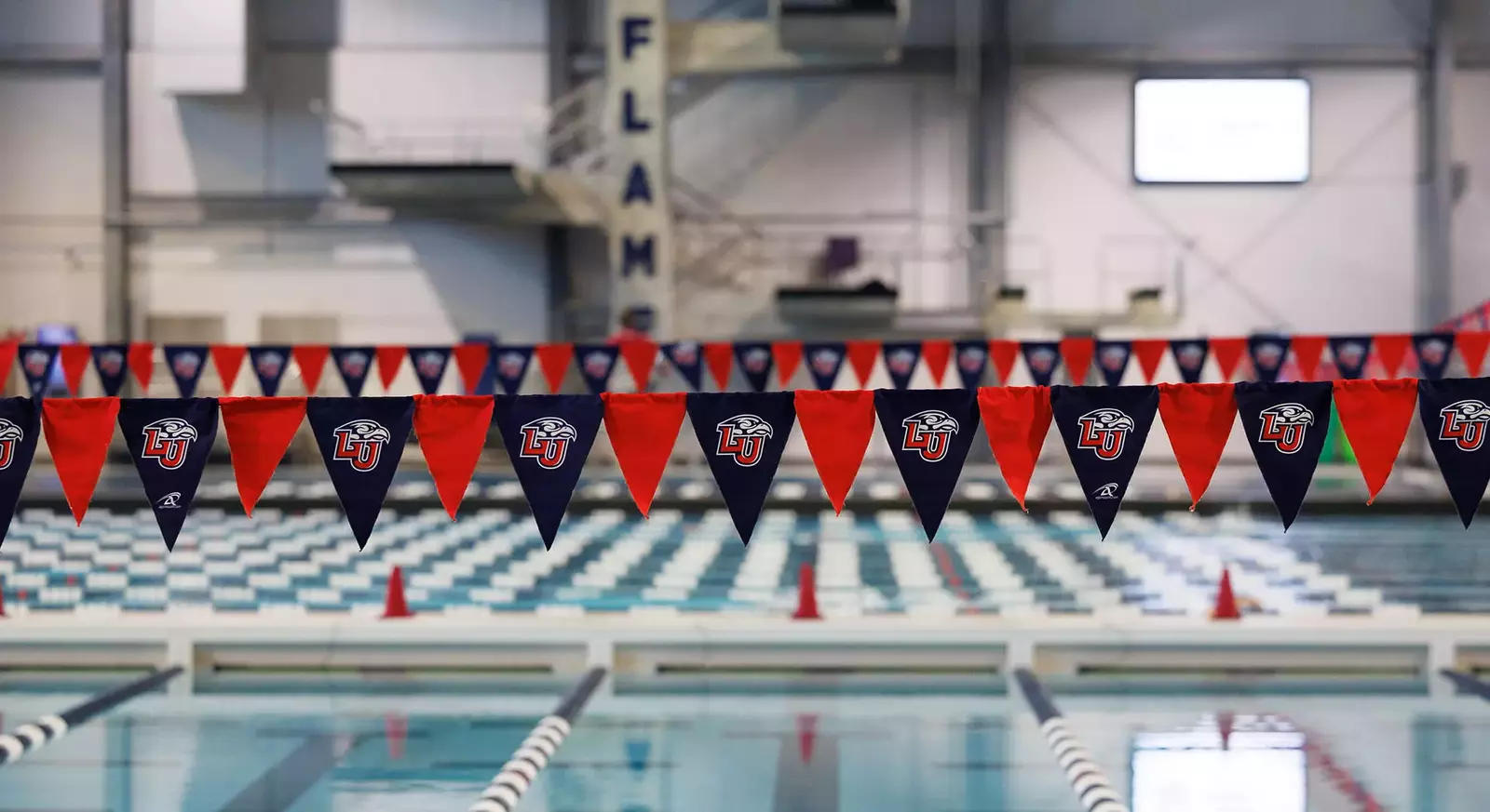 Liberty University Flames