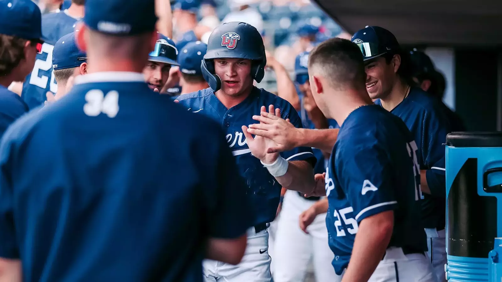 Liberty University Flames