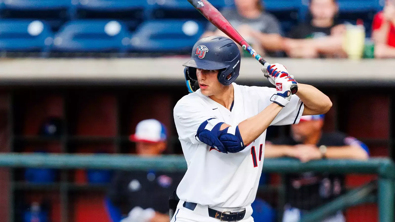 Liberty University Flames