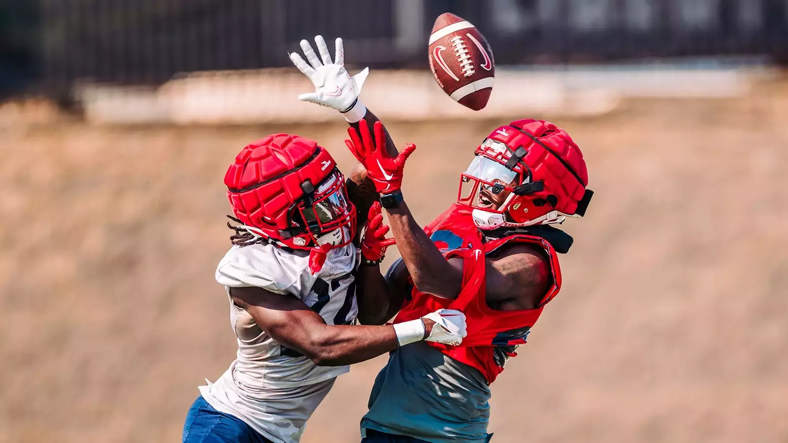 Liberty University Flames