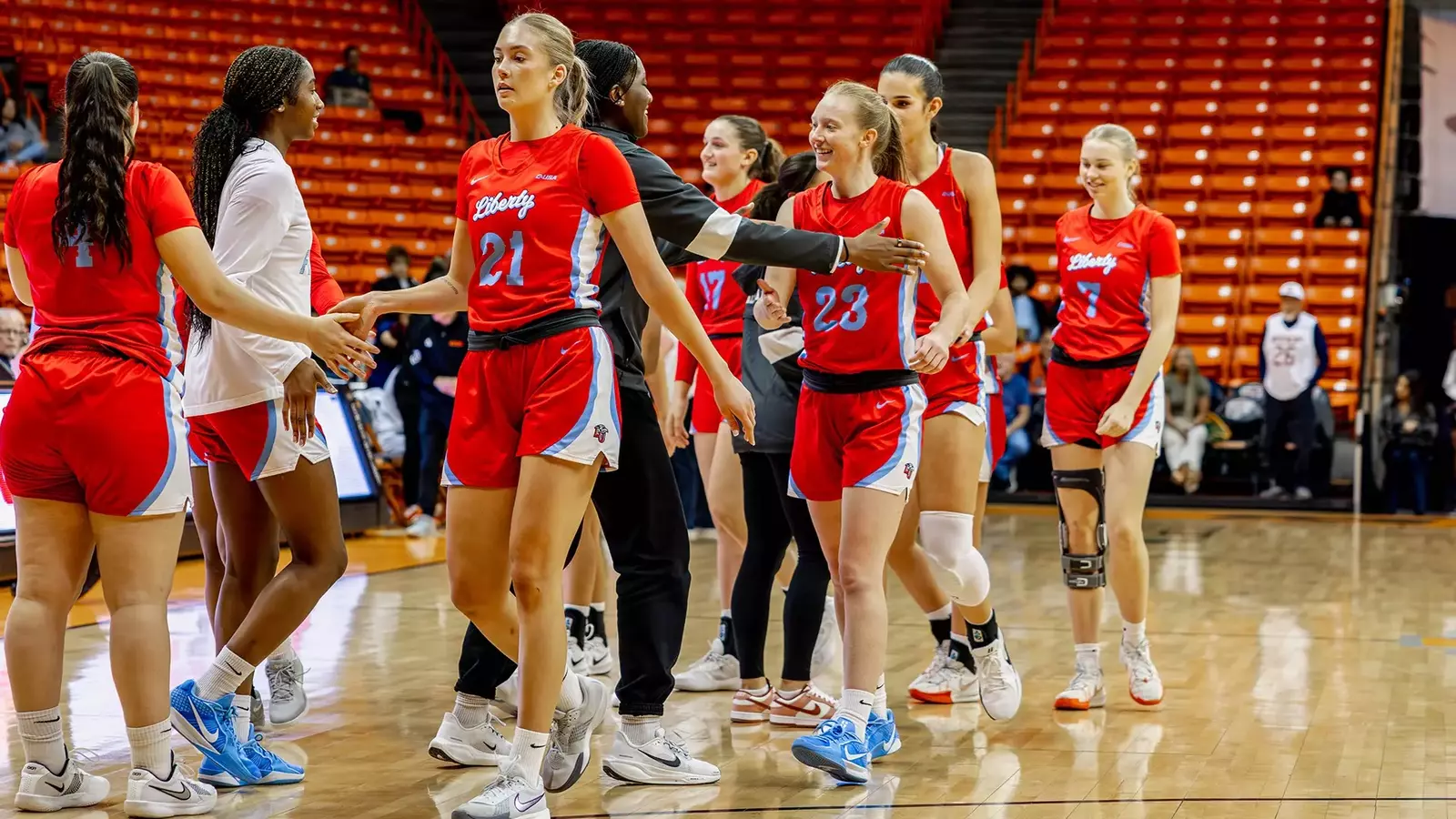 Liberty University Flames