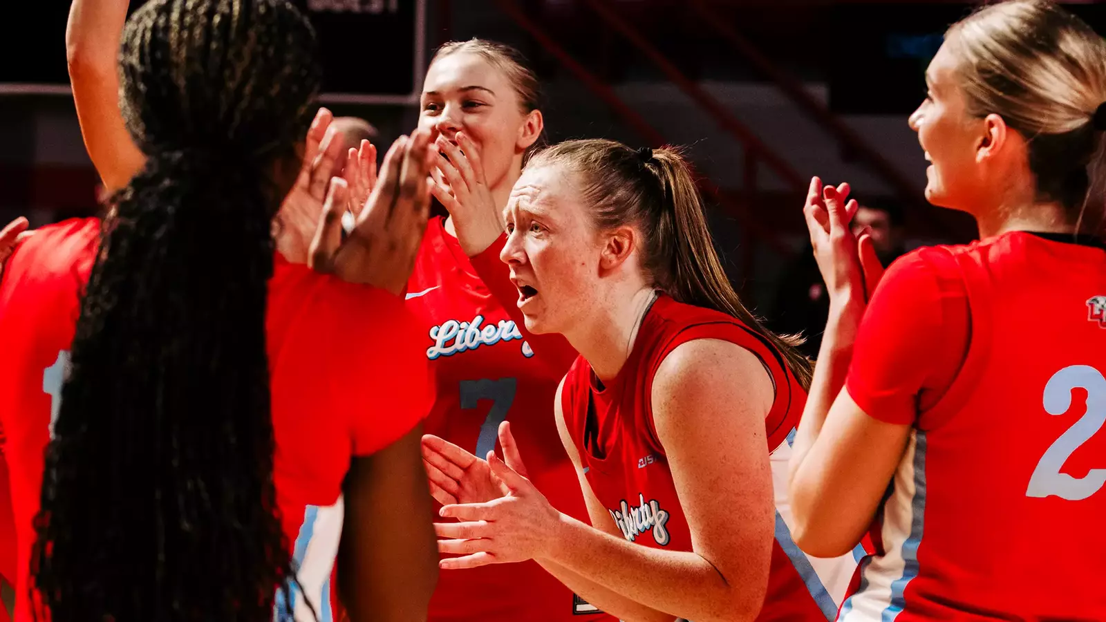 Liberty University Flames