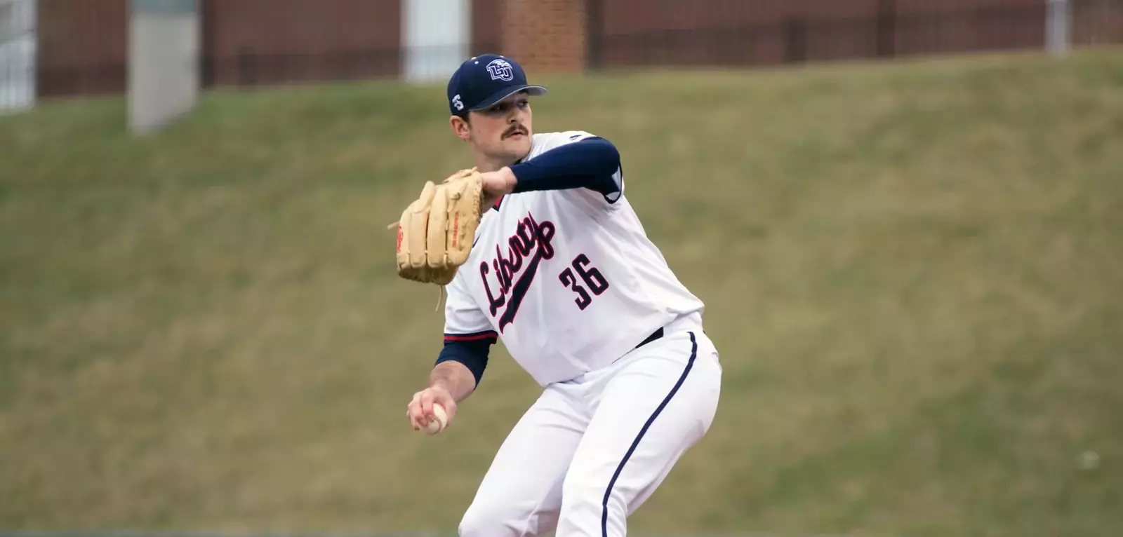 Liberty University Flames
