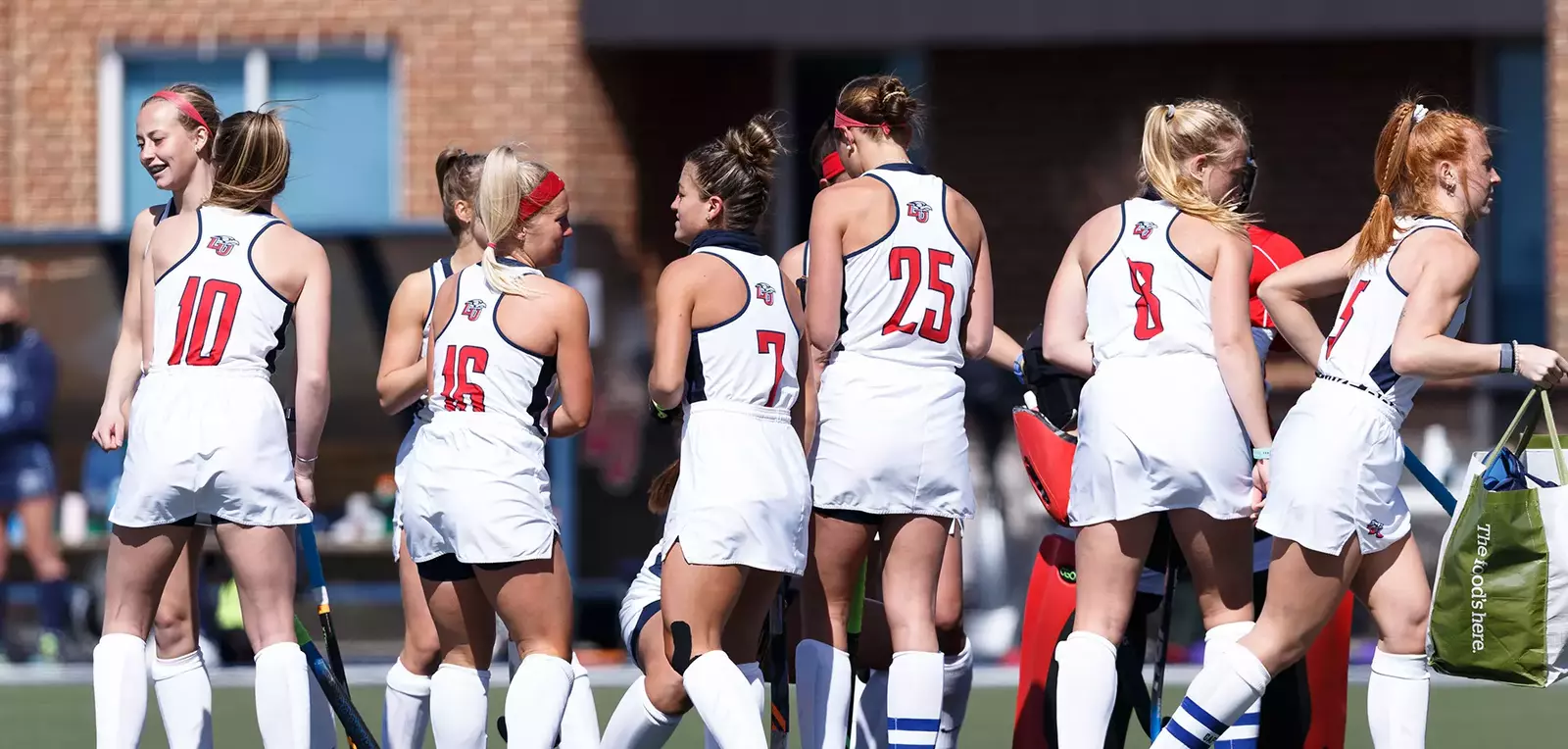 Liberty University Flames