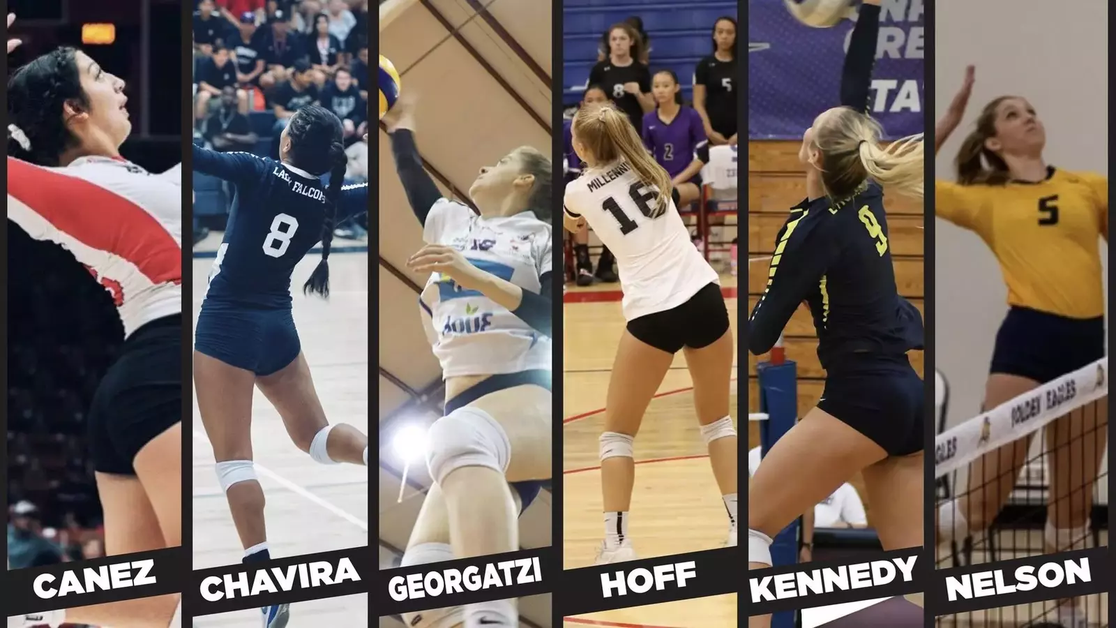 LBSU Women’s Volleyball Welcomes Six Newcomers for 2019 Season - Long ...