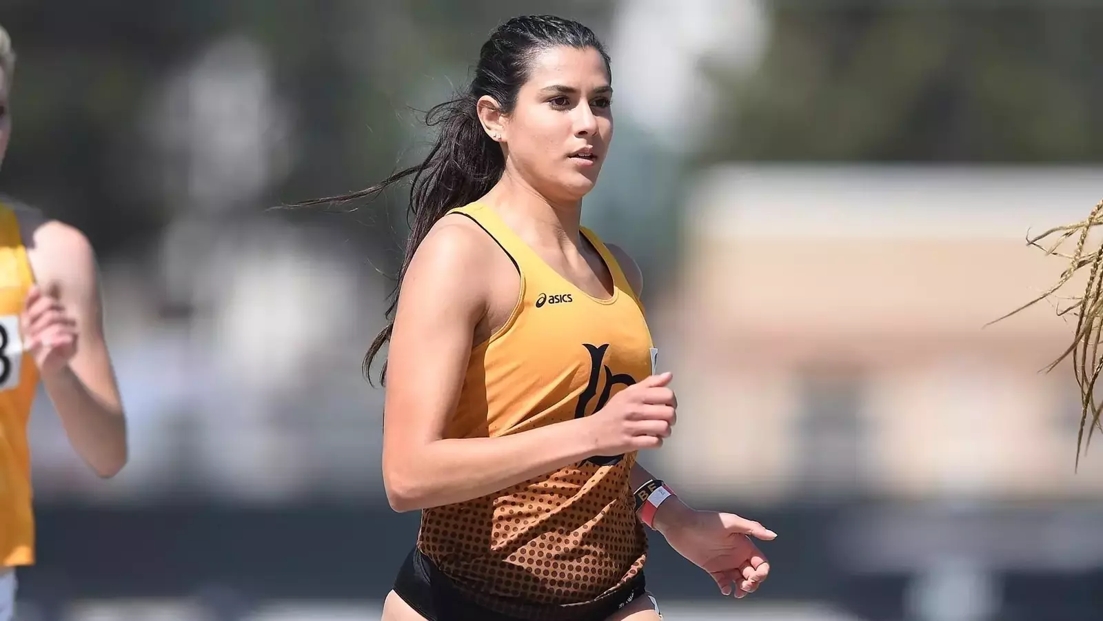 LBSU Set to Compete in the New Mexico Collegiate Classic - Long Beach ...