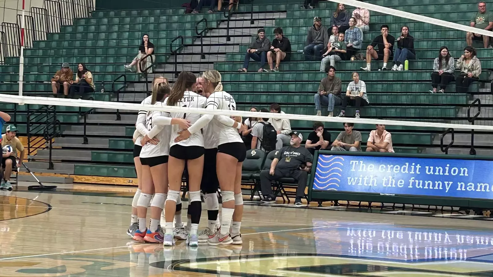 Long Beach State Falls On The Road To Cal Poly - Long Beach State ...