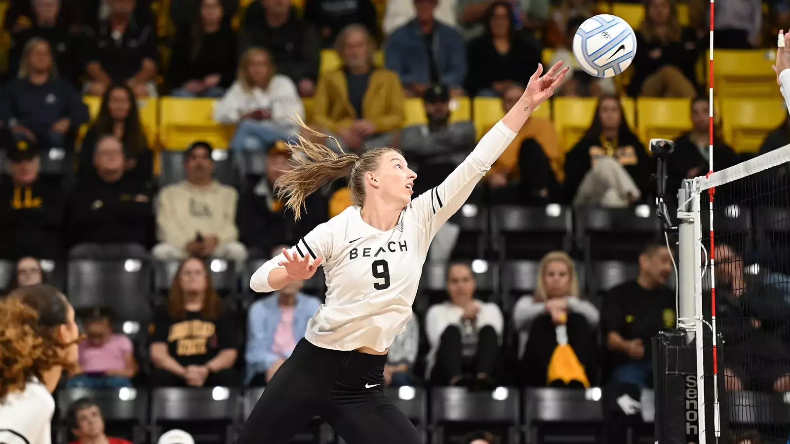Long Beach State Women’s Volleyball Set to Take On UC Irvine In First Round Of The Outrigger Big ...