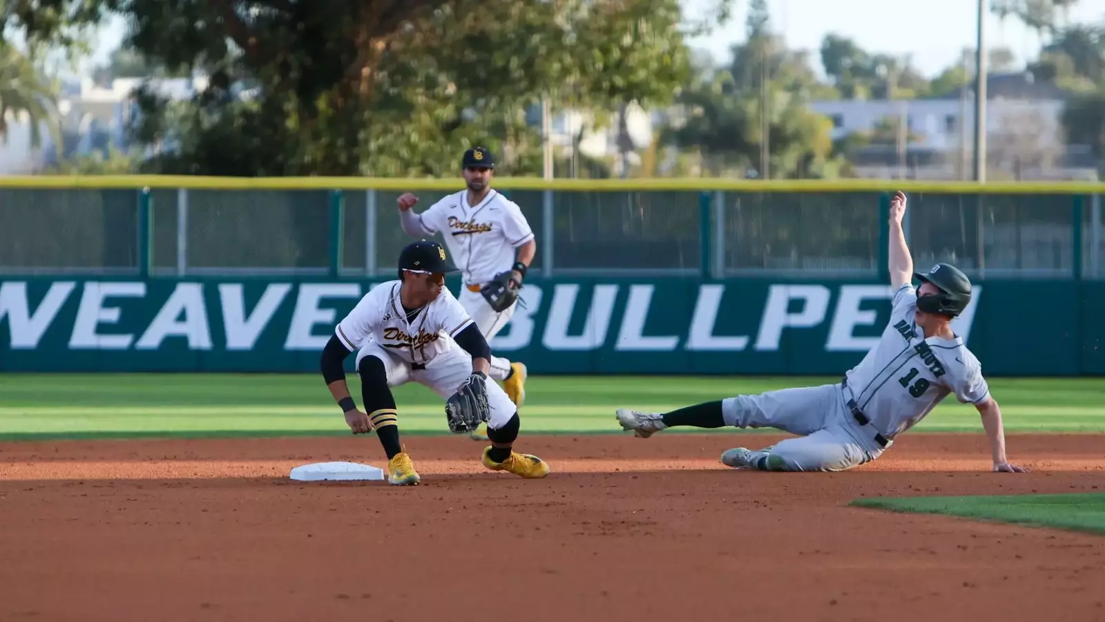 Dartmouth Defeats The Dirtbags 3-0 - Long Beach State University Athletics
