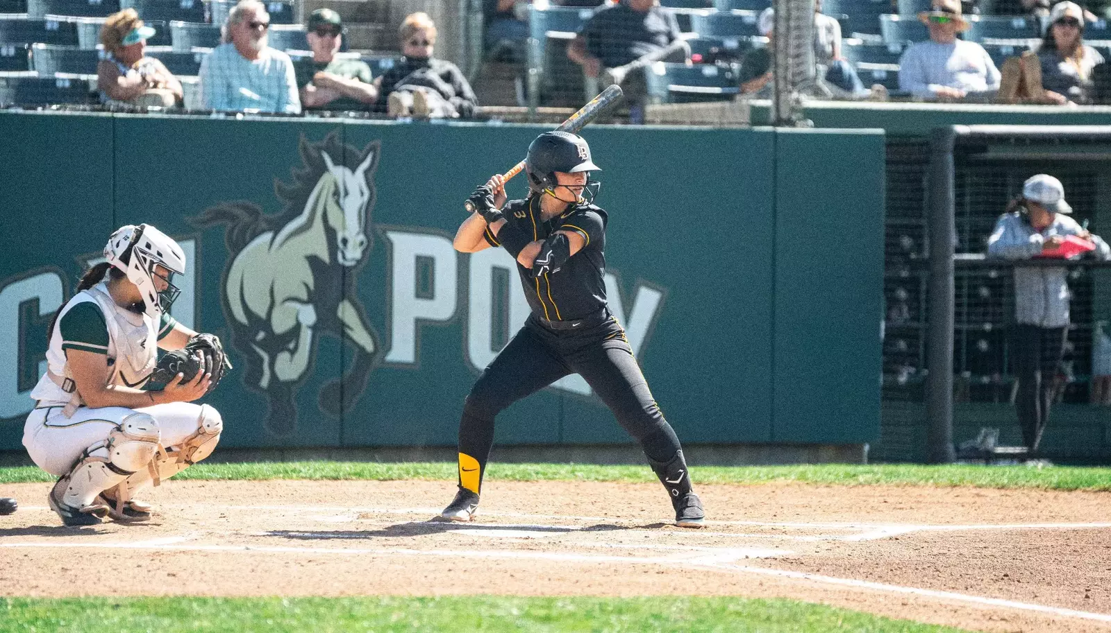 Long Beach State, Cal Poly Split Doubleheader To Start Series - Long ...