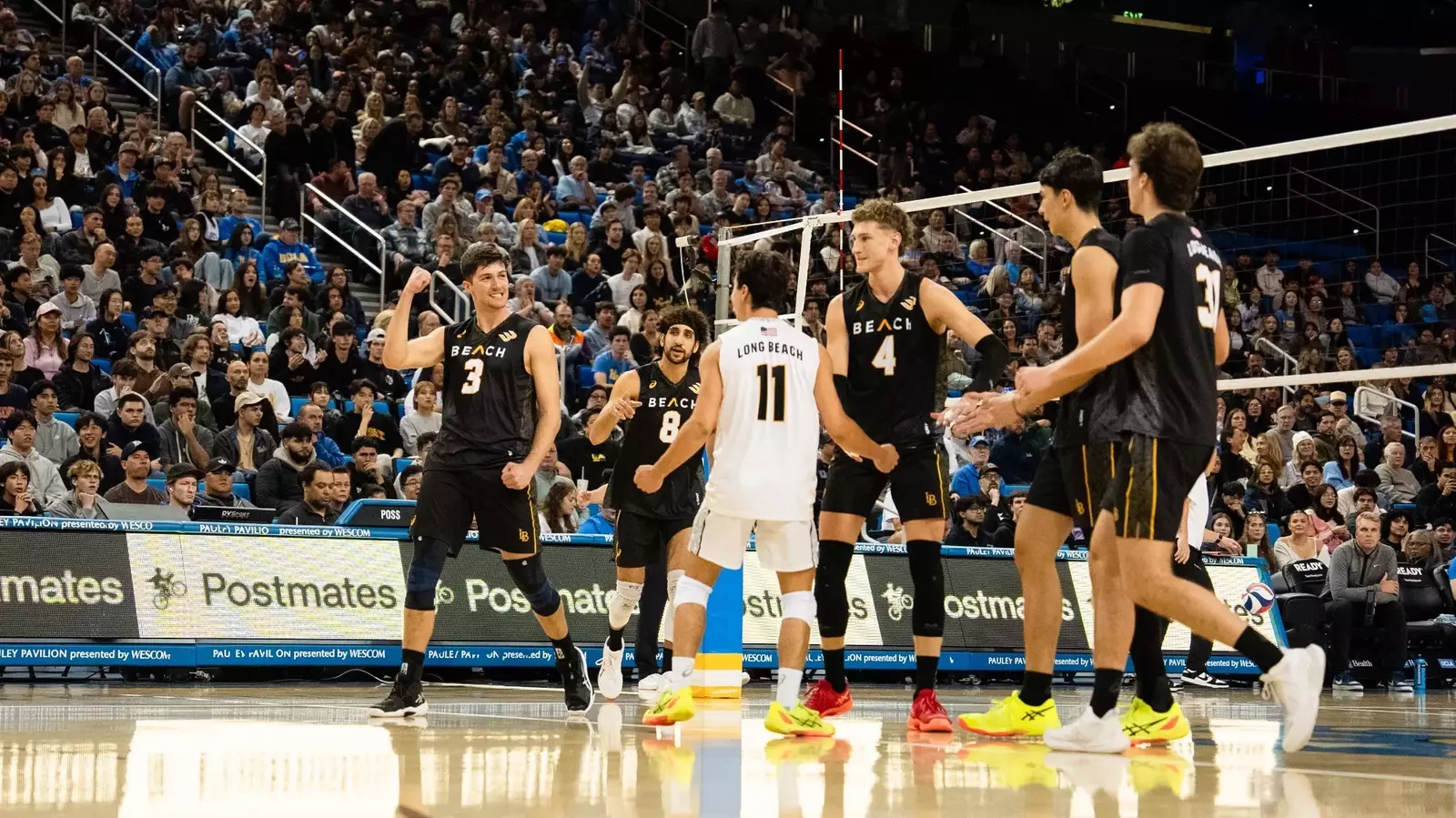 No. 1 Long Beach State Sweeps No. 3 UCLA - Long Beach State University ...