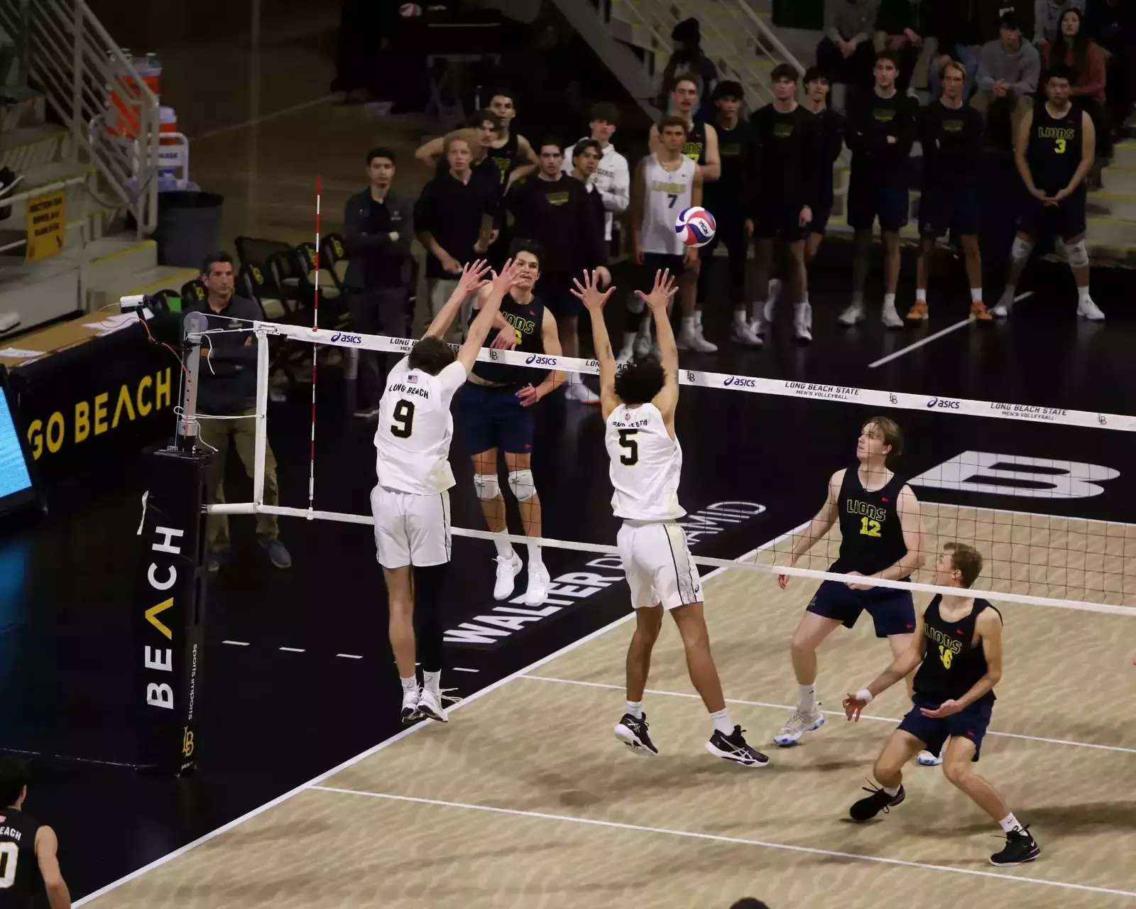 No. 1 Long Beach State Remains Undefeated With Sweep Of Vanguard - Long ...