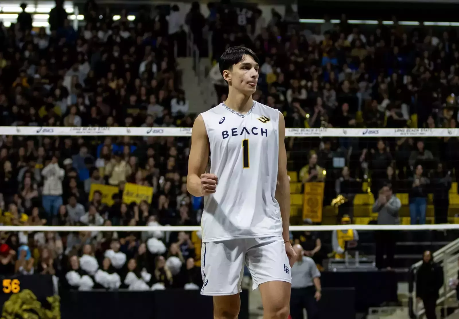 No. 1 Long Beach State Defeats No. 3 UCLA 3-1 In Sold Out Walter Pyramid - Long Beach State ...