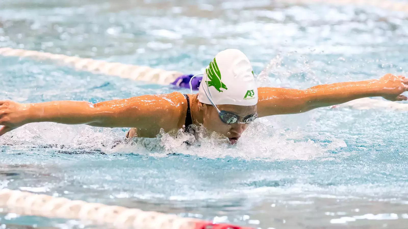 University of North Texas